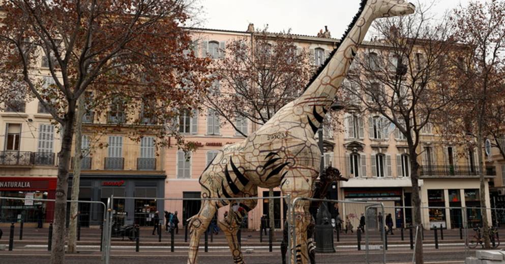 Région | Marseille : la girafe Zarafa adoptée hier par la mairie de secteur | La Provence
