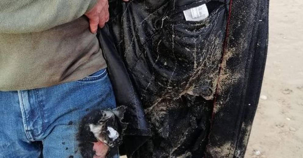 En direct | Calvados : il ramasse une pierre sur une plage du ...