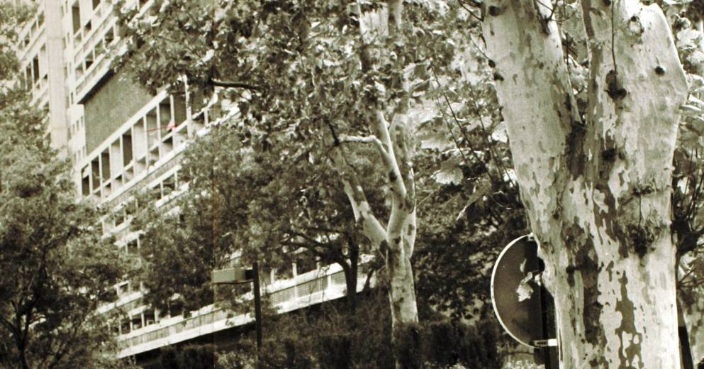 Actualités | Exclusif : François Checchi, l'assassin du juge Michel, a ...