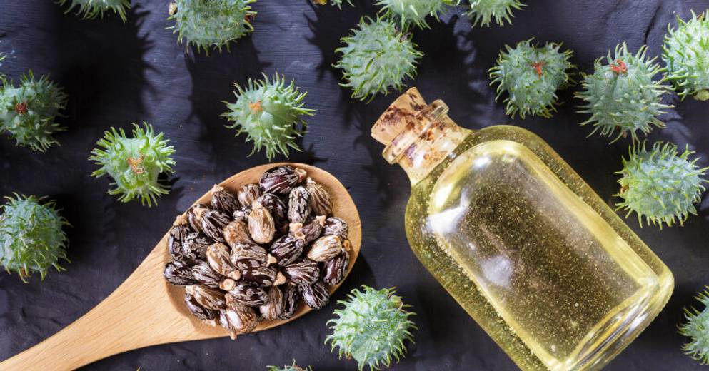 C'est la vie | L'huile de ricin, le produit miracle aux vertus ...